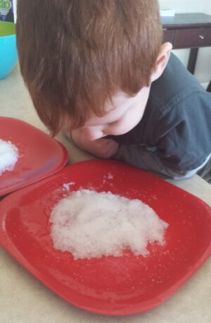 Melting Snow Science Experiment