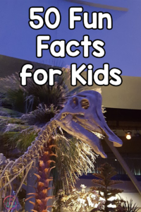 50 Fun Facts that will Shock and Amaze You