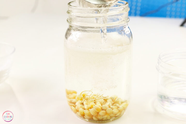 Dancing Corn Science Experiment