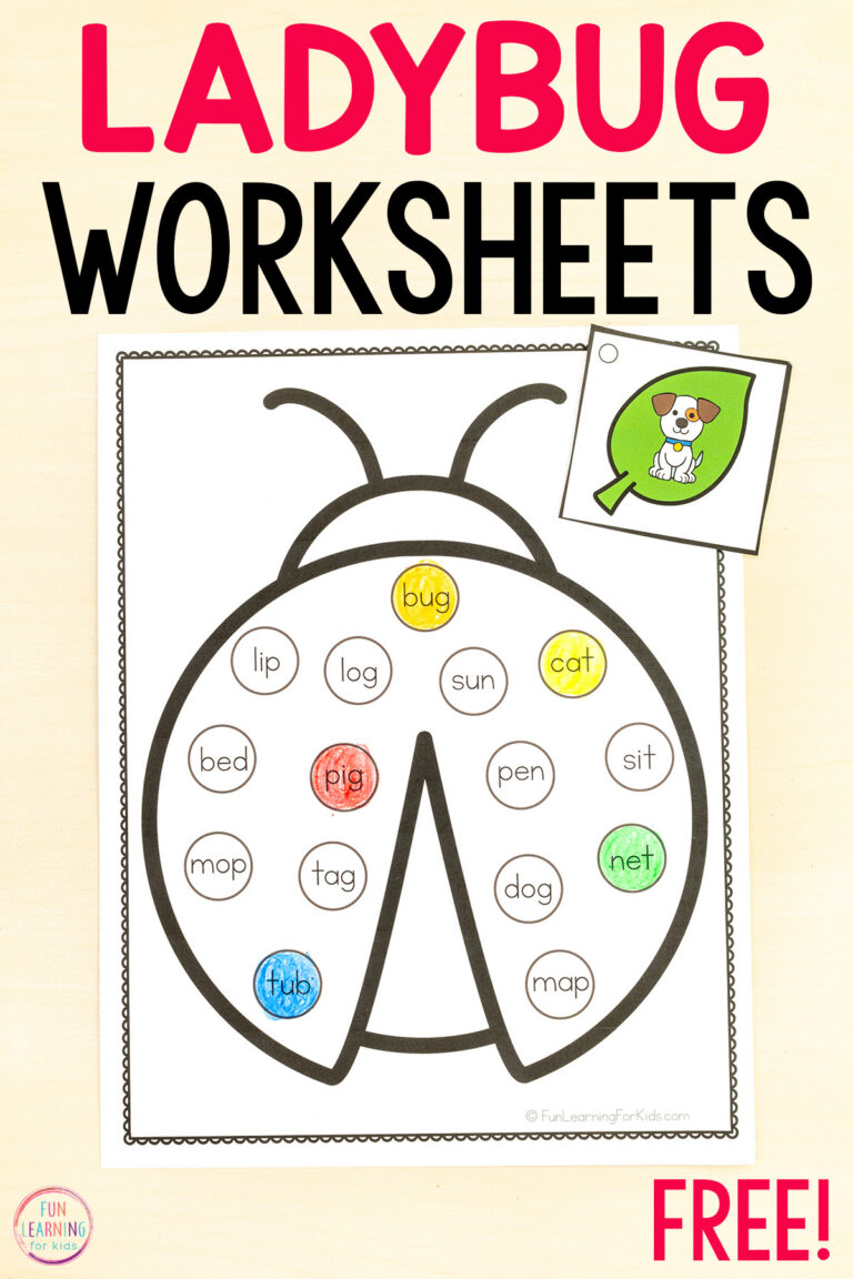 Ladybug CVC Word Find and Color Phonics Activity